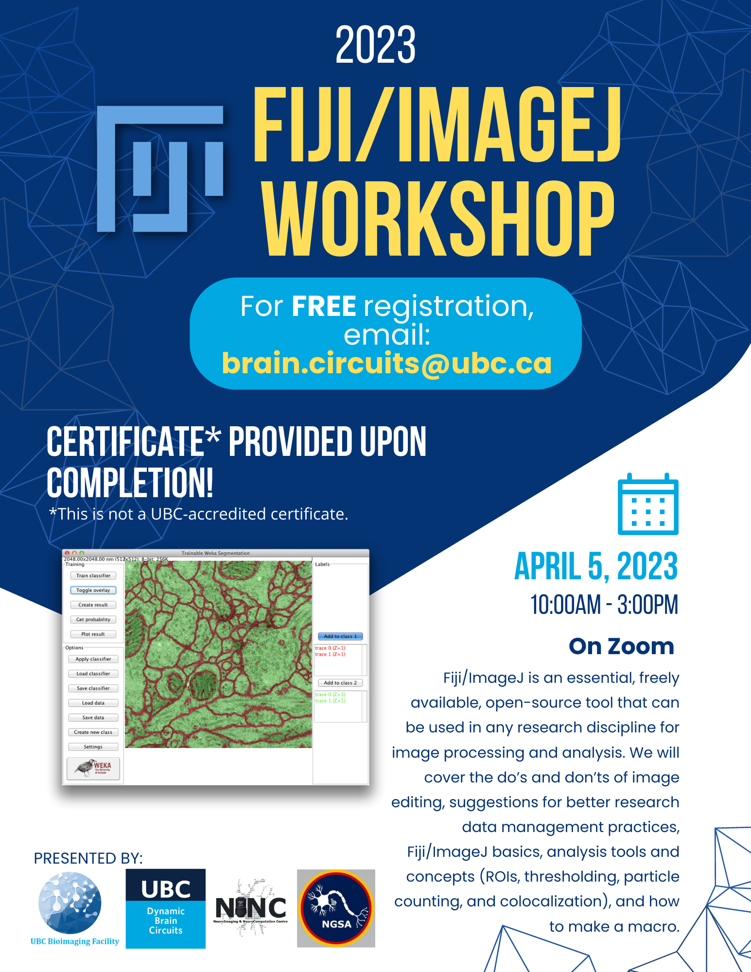 UBC-UVic Fiji/ImageJ Workshop 2023 | UBC Bioimaging Facility